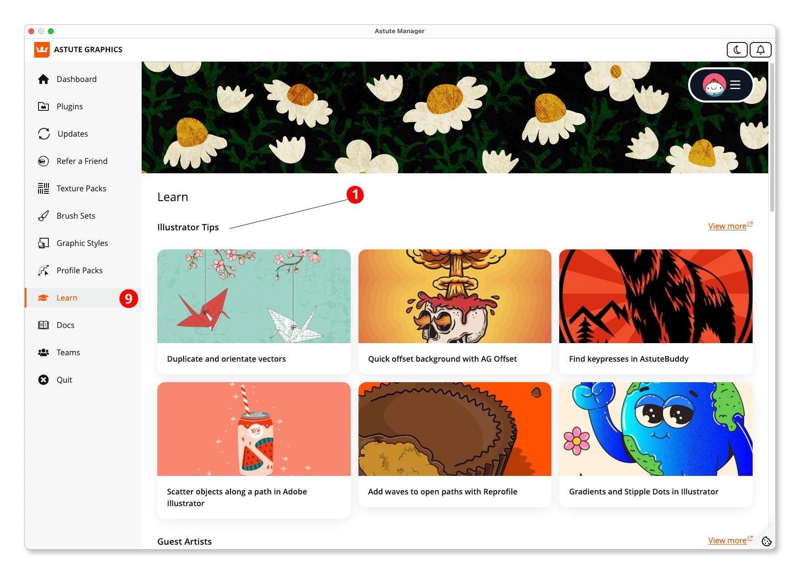 The Astute Manager | Astute Graphics Documentation