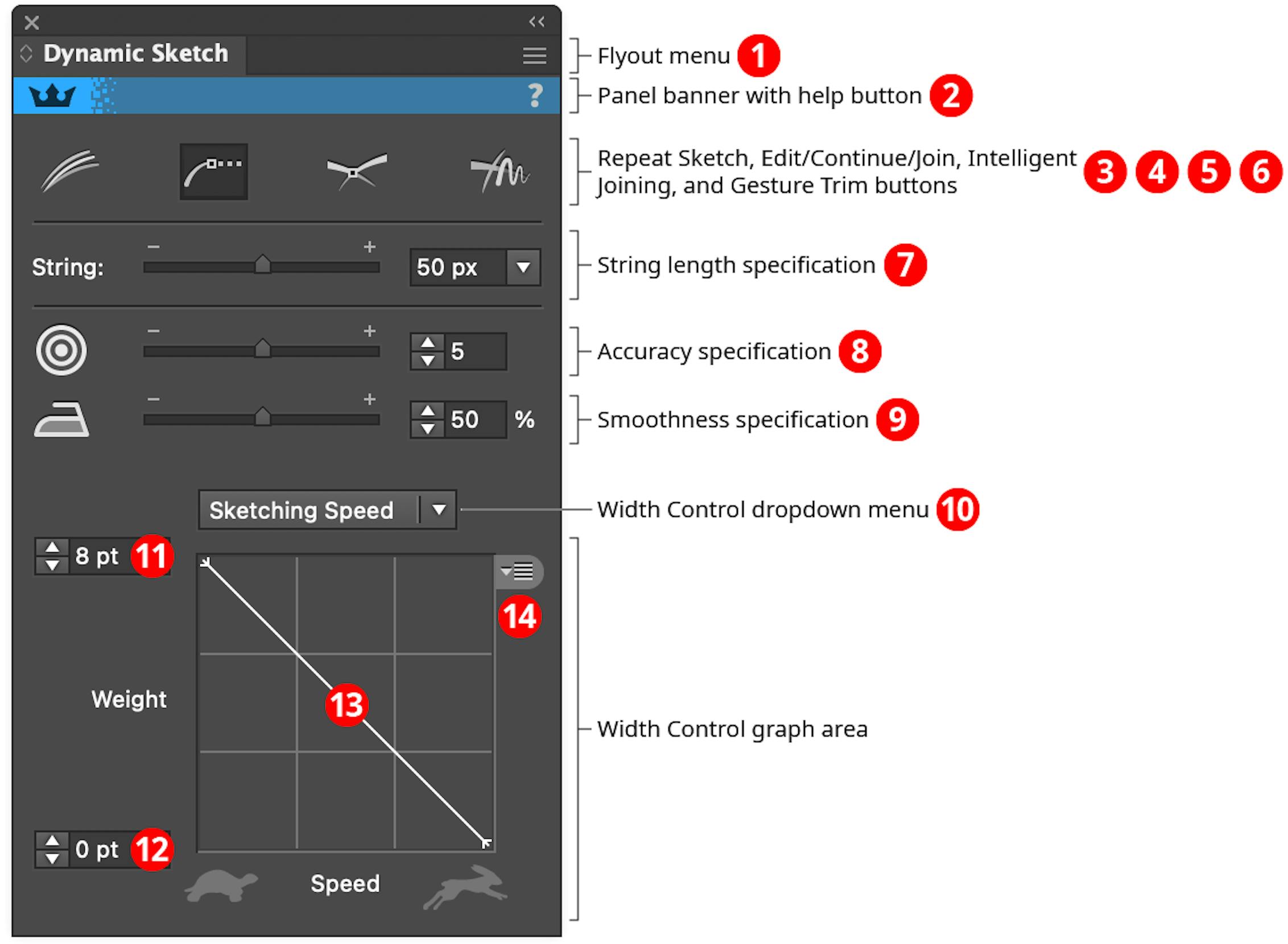 Dynamic Sketch | Astute Graphics Documentation