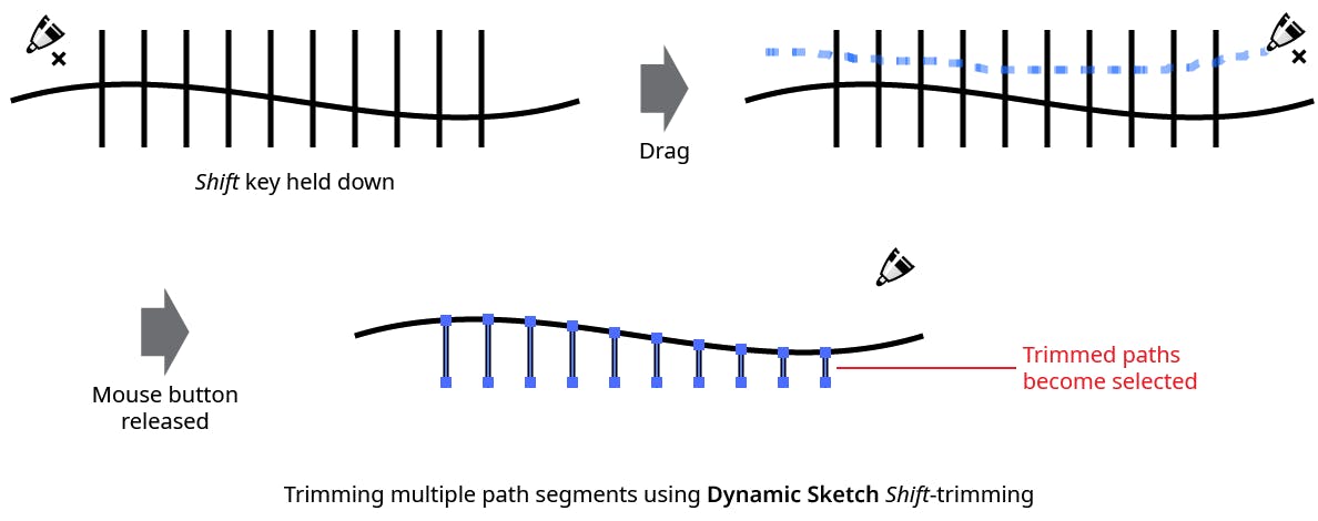 Dynamic Sketch | Astute Graphics Documentation