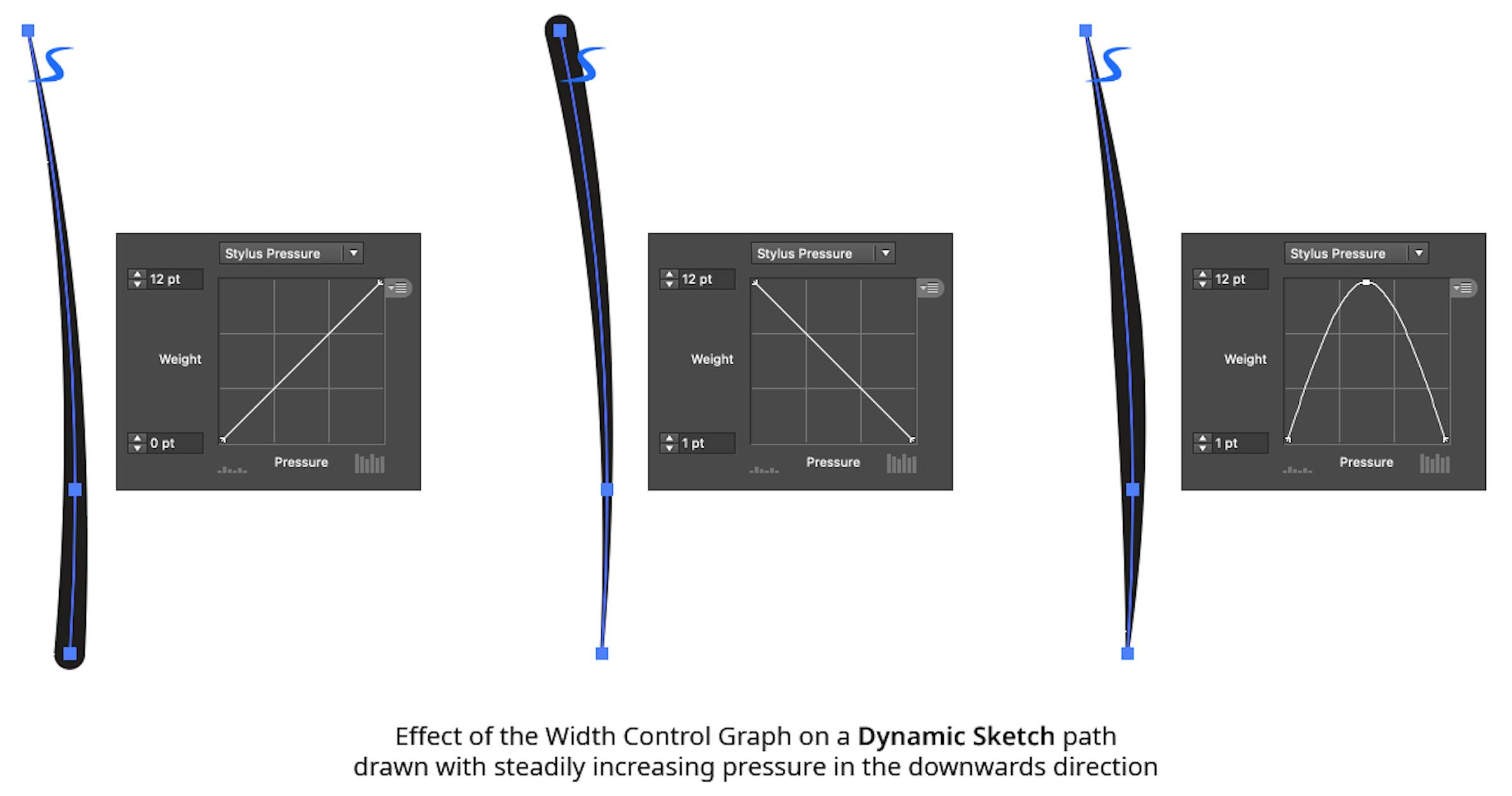 Dynamic Sketch | Astute Graphics Documentation