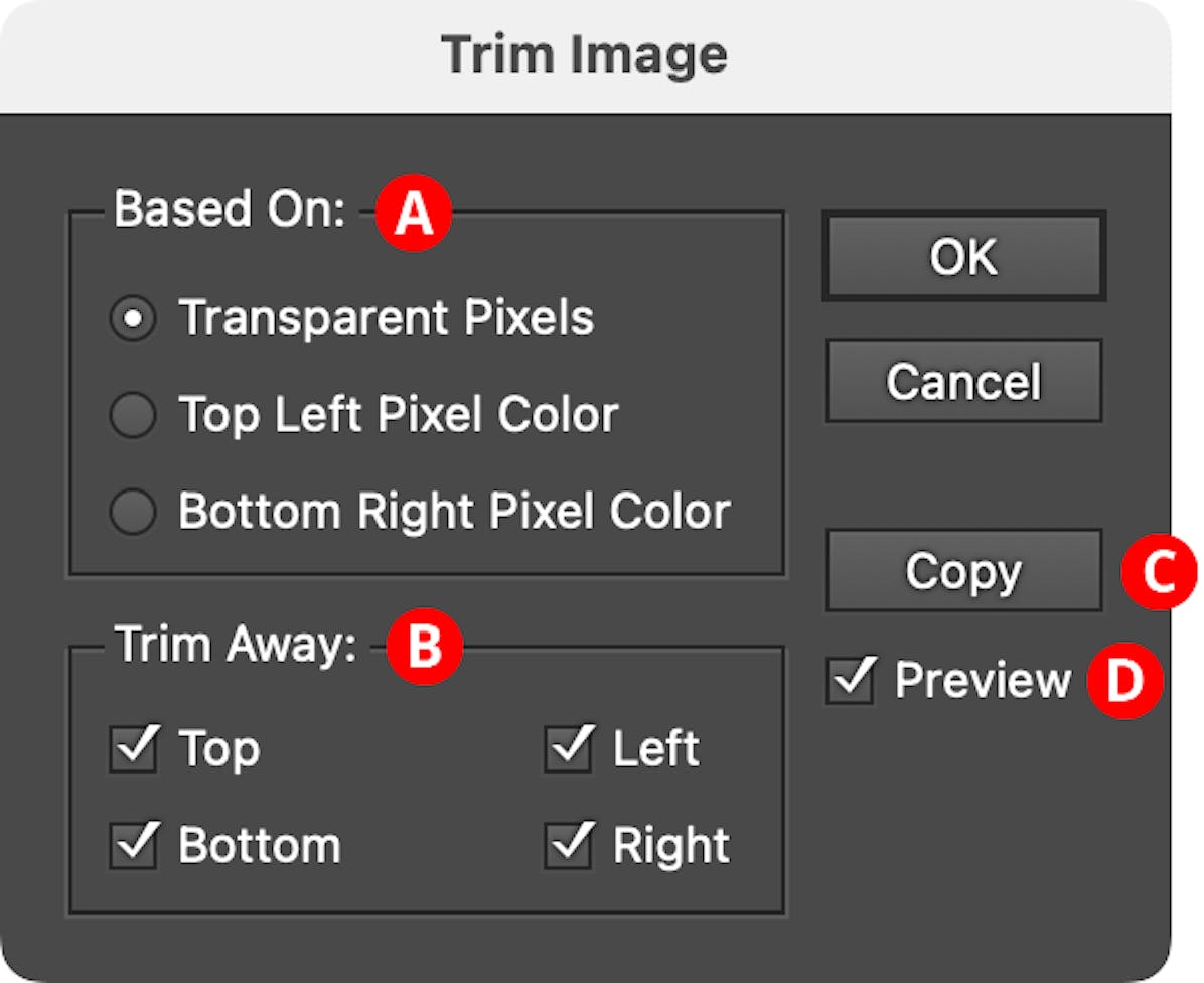 Rasterino Panel | Astute Graphics Documentation