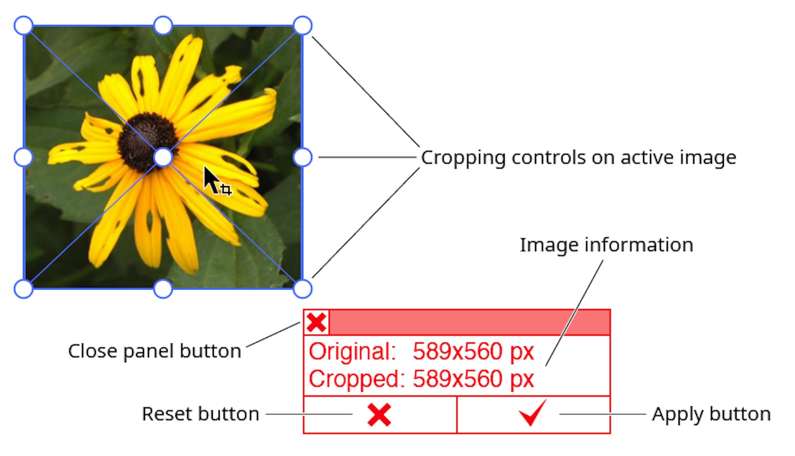 Crop Image Tool | Astute Graphics Documentation