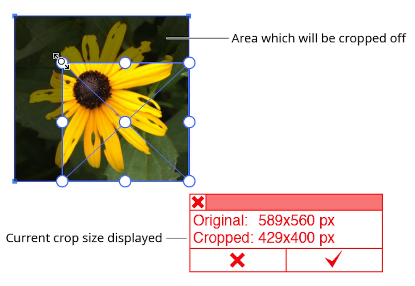 Crop Image Tool | Astute Graphics Documentation