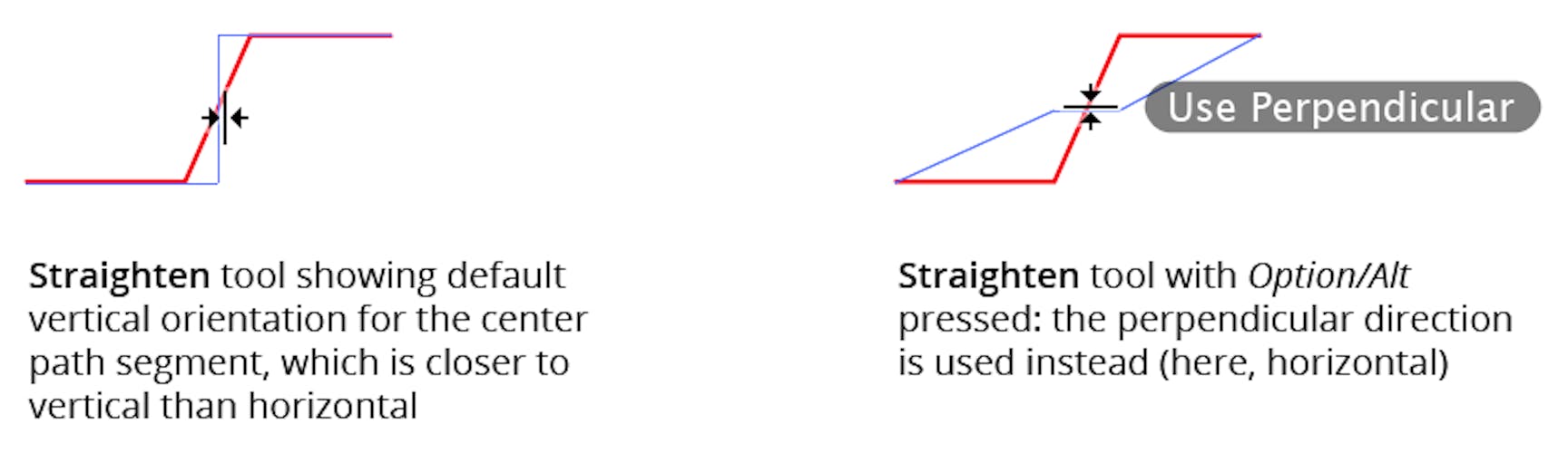 Straighten Tool | Astute Graphics Documentation