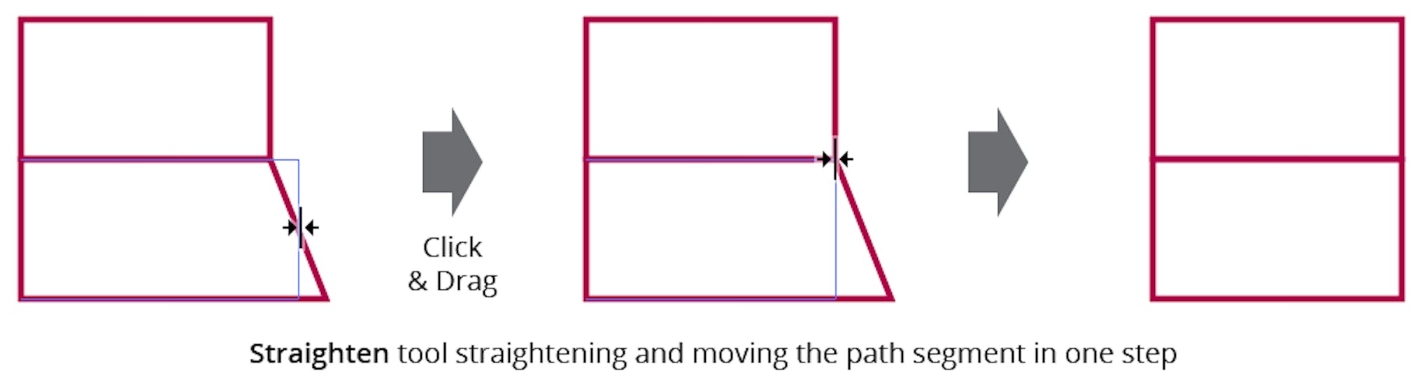 Straighten Tool | Astute Graphics Documentation
