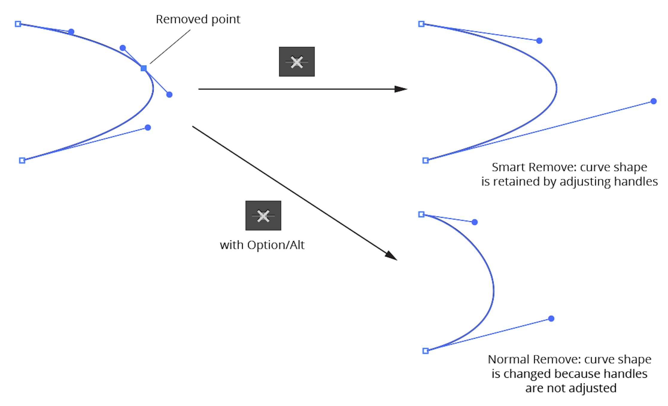 PathScribe | Astute Graphics Documentation