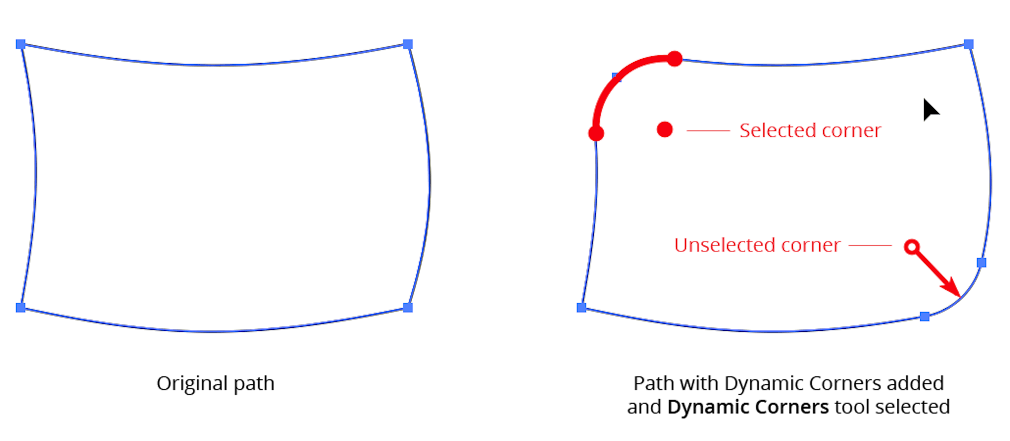 Dynamic Corners Tool | Astute Graphics Documentation