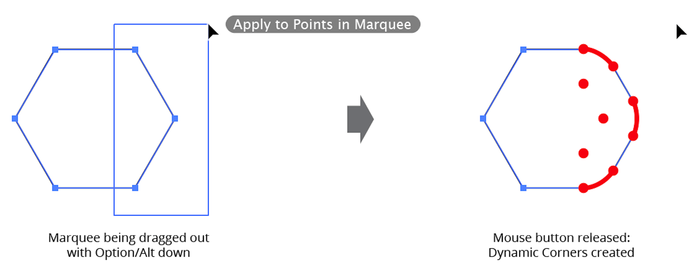 Dynamic Corners | Astute Graphics Documentation